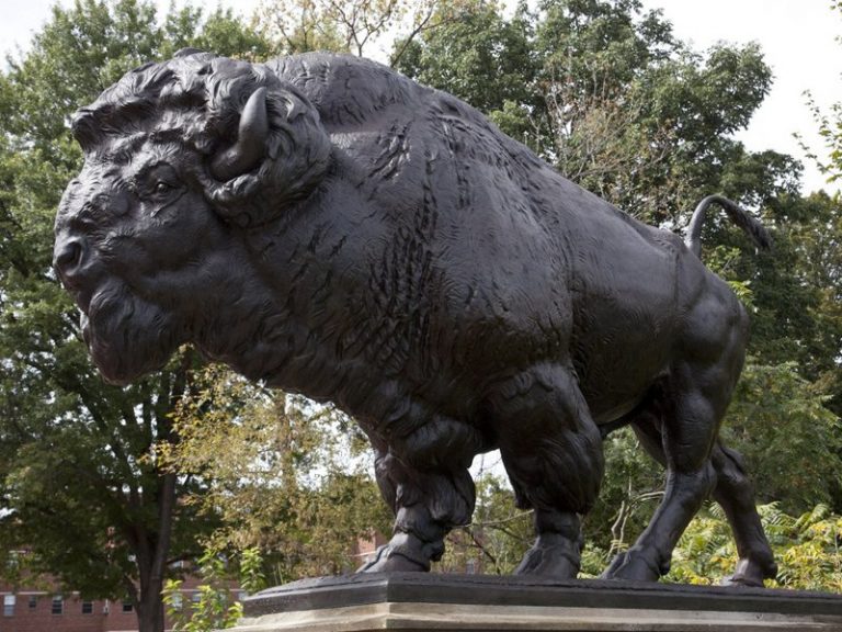 Life Size Statues of Bronze Walking Buffalo for Sale - Relong Art Sculpture