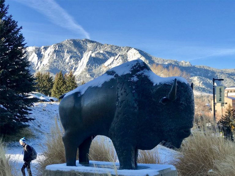 Life Size Statues of Bronze Walking Buffalo for Sale - Relong Art Sculpture