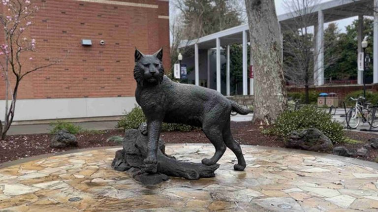 Large Bronze Mascot Wildcat Statue for Sale - Relong Art Sculpture